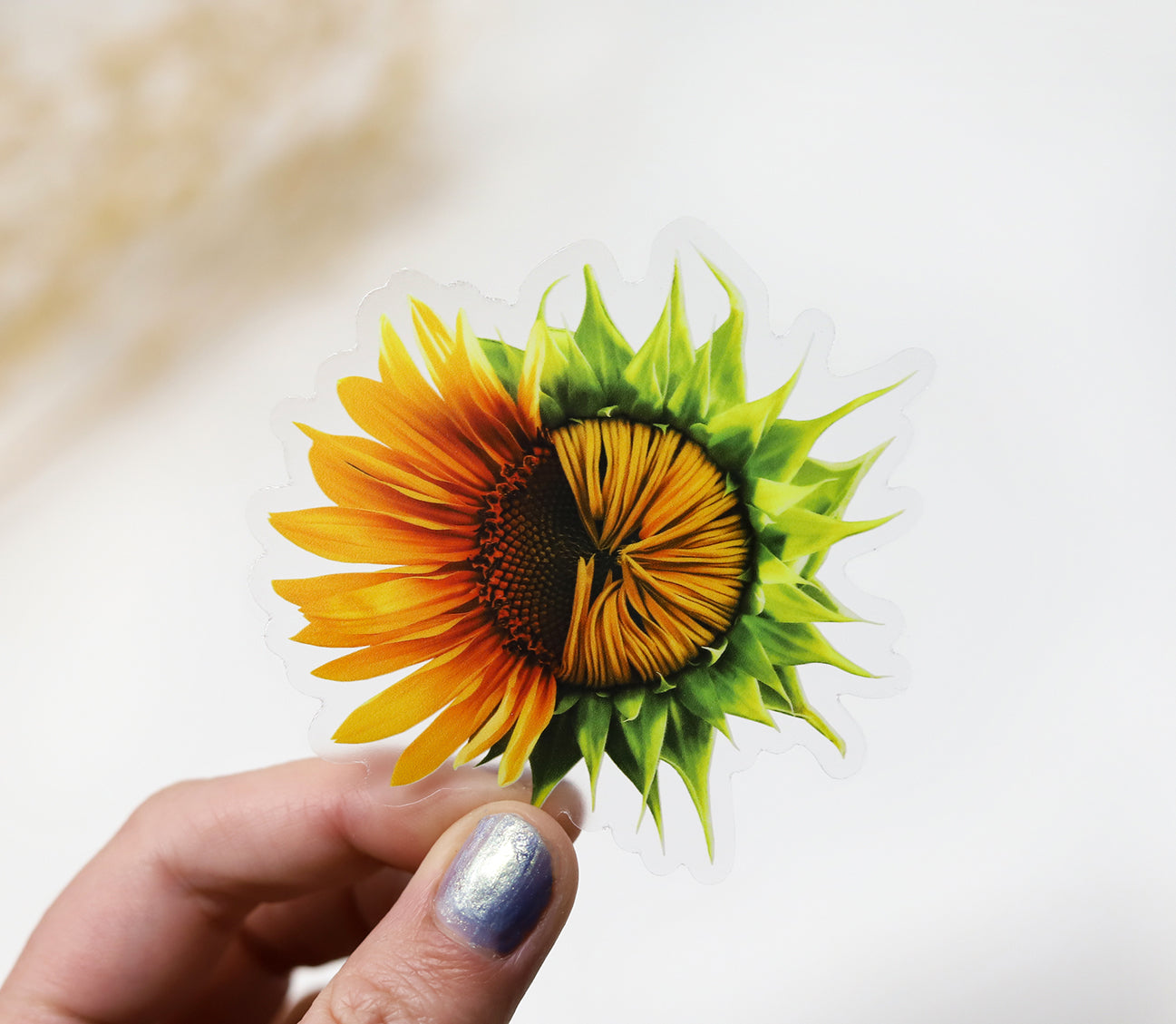 Stickers - Magical Vinyl Stickers For Sale – Green Artist Designs