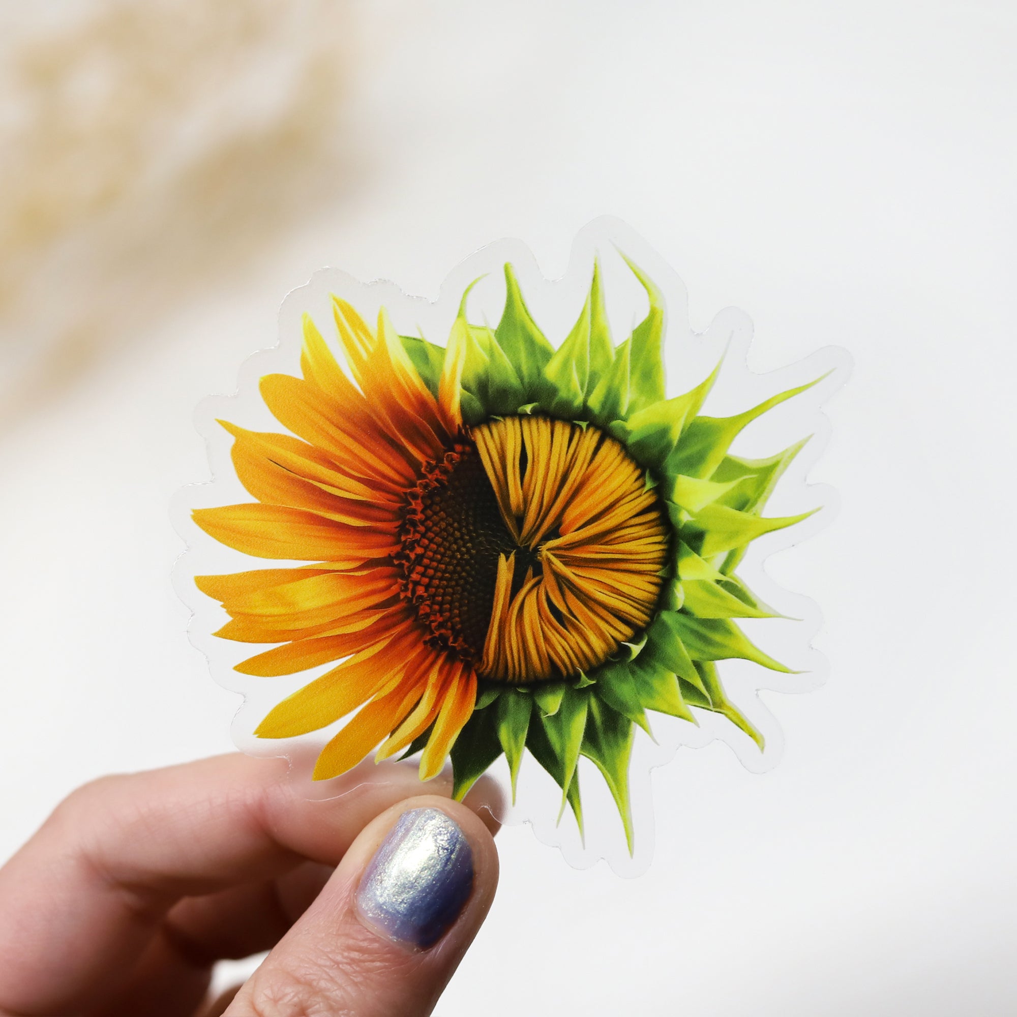 Clear Blooming Sunflower Vinyl Sticker – Green Artist Designs