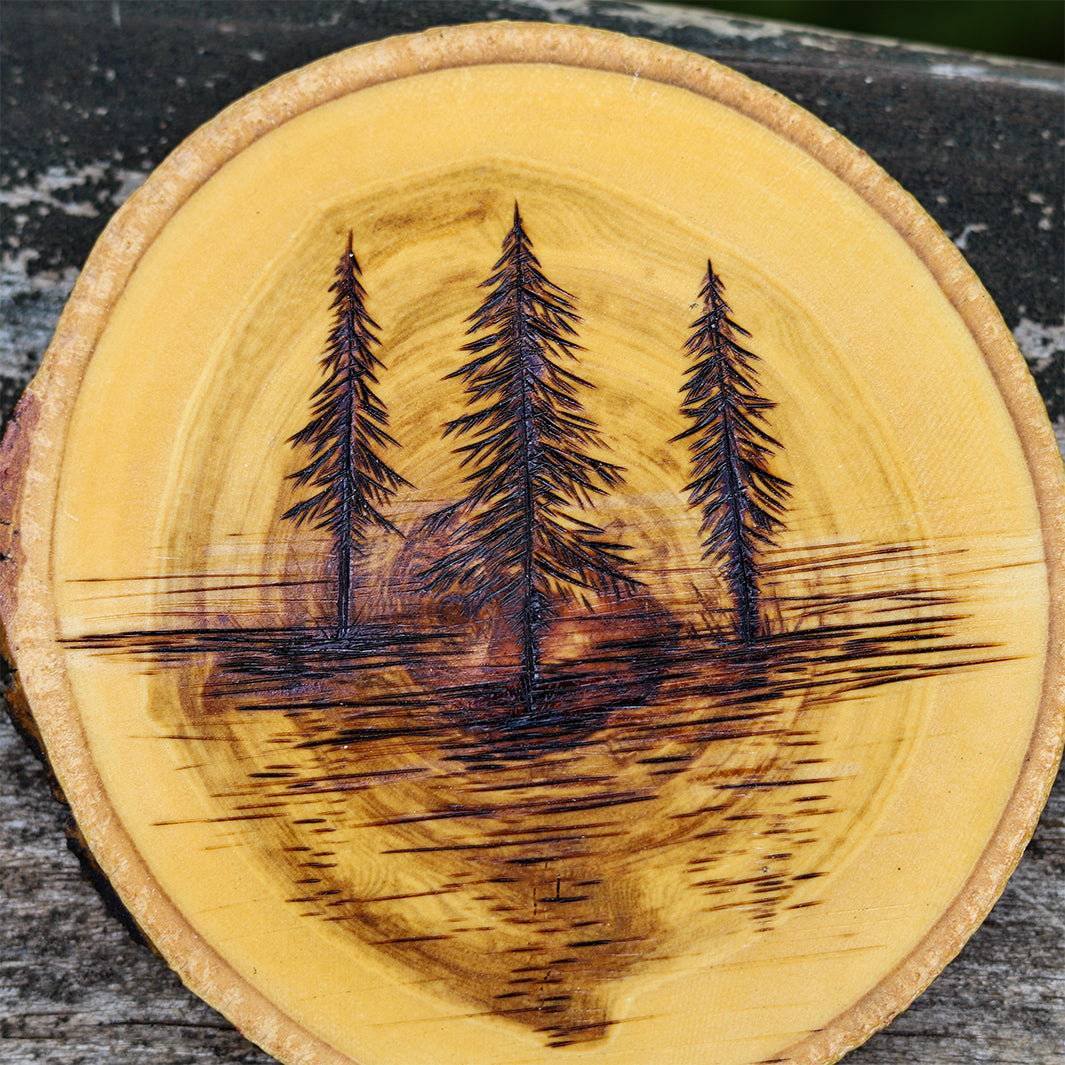 Wood Burning Tree Patterns Lichtenberg Wood Burning Kit With Tree Of